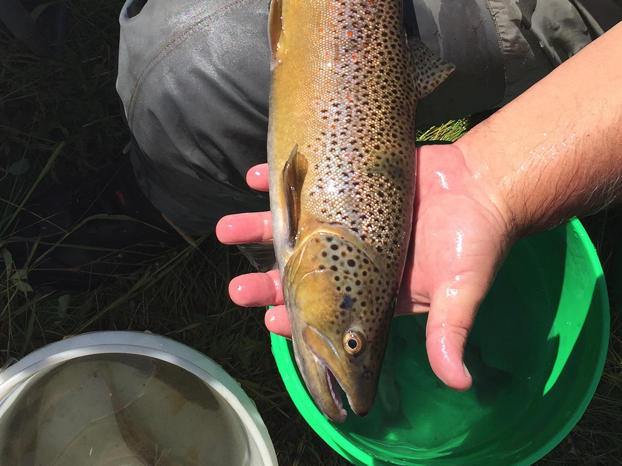 Formation Environmental, LLC | About Us-OLD