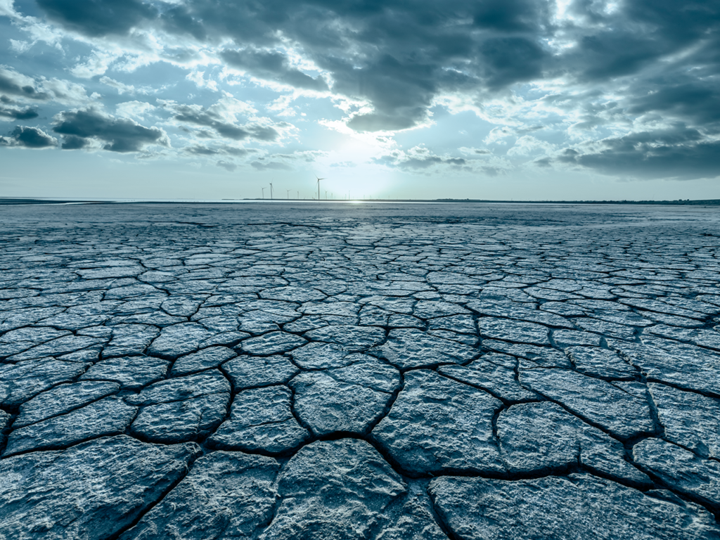 Formation Environmental, LLC | Services